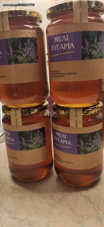 Car.gr - Πωλειται μελι λυγαριας