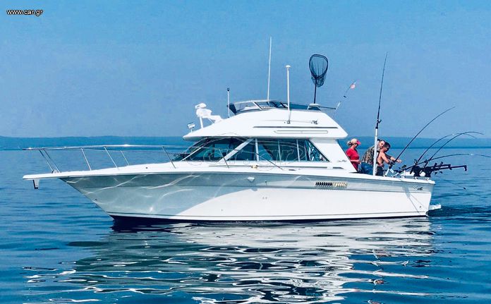 Car.gr - Sea Ray 2017 flybridge 31 sport fishing